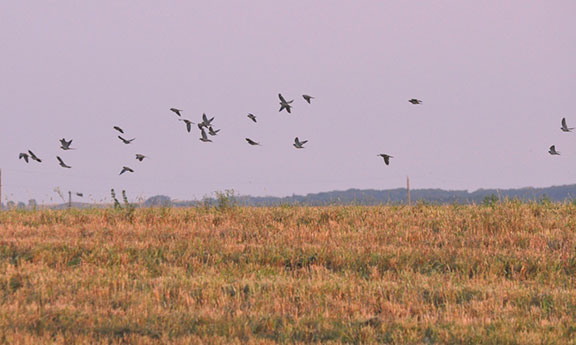 Here come the hunting seasons | Northwest Iowa OutdoorsNorthwest Iowa ...
