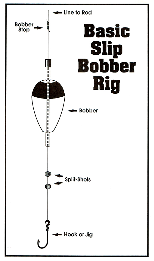 How to Put a Bobber on a Fishing Line: Easy Steps for Success – buzzlyo