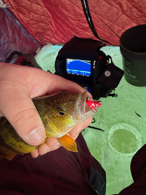 Early season ice fishing bite continues | Northwest Iowa ...